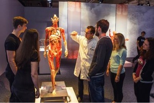 The exhibition Body Exhibition - Prague Events