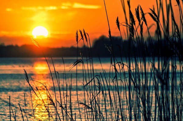 Visit the Serene Lhota Lake Near Prague - Prague Blog