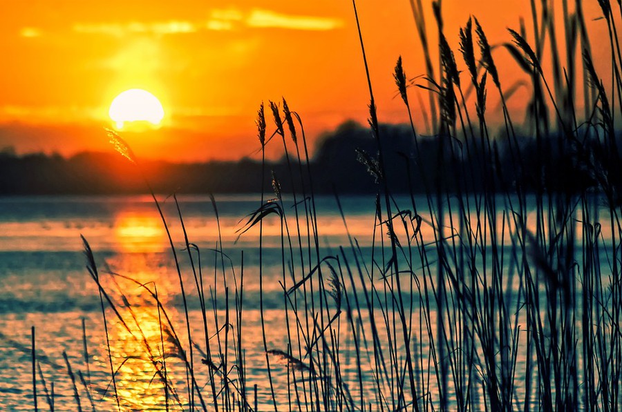 Visit the Serene Lhota Lake Near Prague - Prague Blog