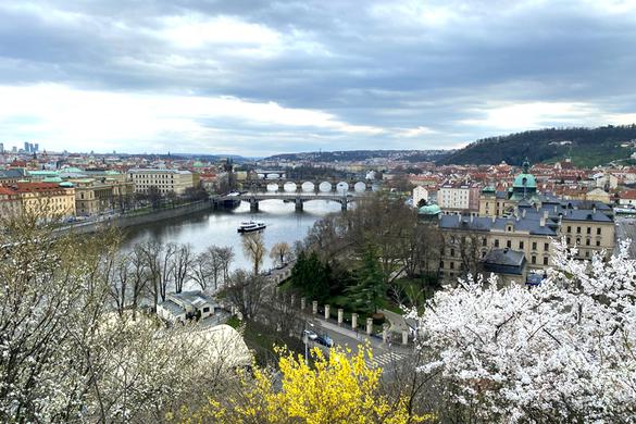 Prague Holiday Guide - Tour and Hotel Bookings, Events